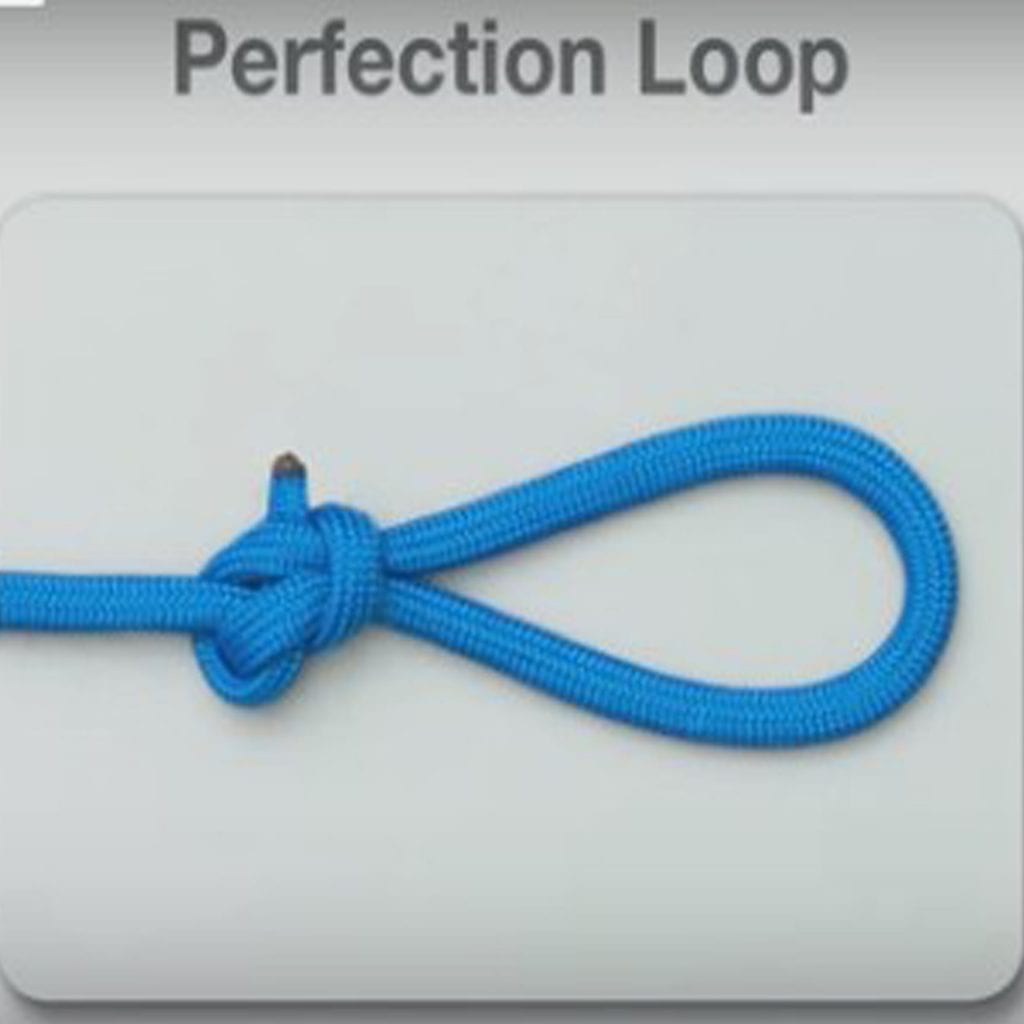 קשר לולאה - Perfection loop knot - מפגש הדייגים